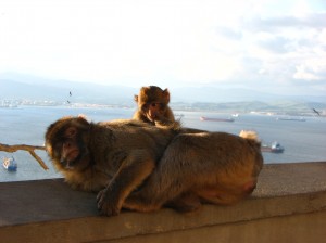 Gibraltar | Summer's Adventures