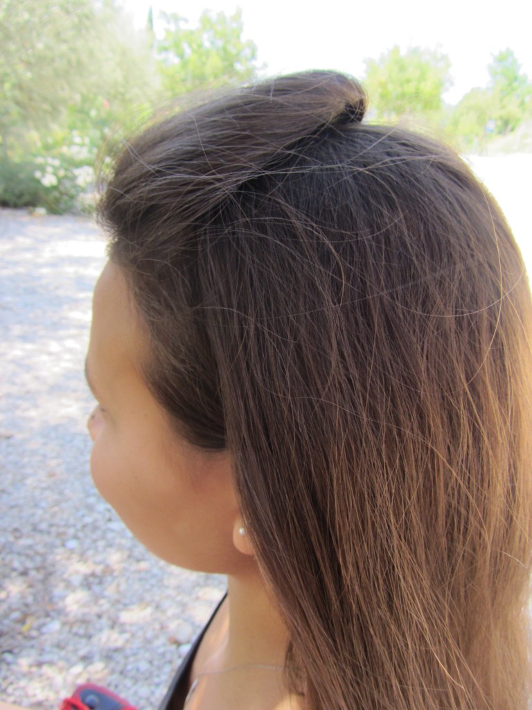 How to: Double poof french twist | Summer's Adventures